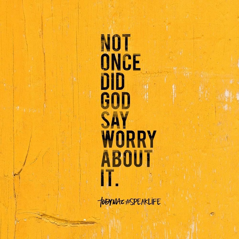 Put In the Call – Inbarbsworld