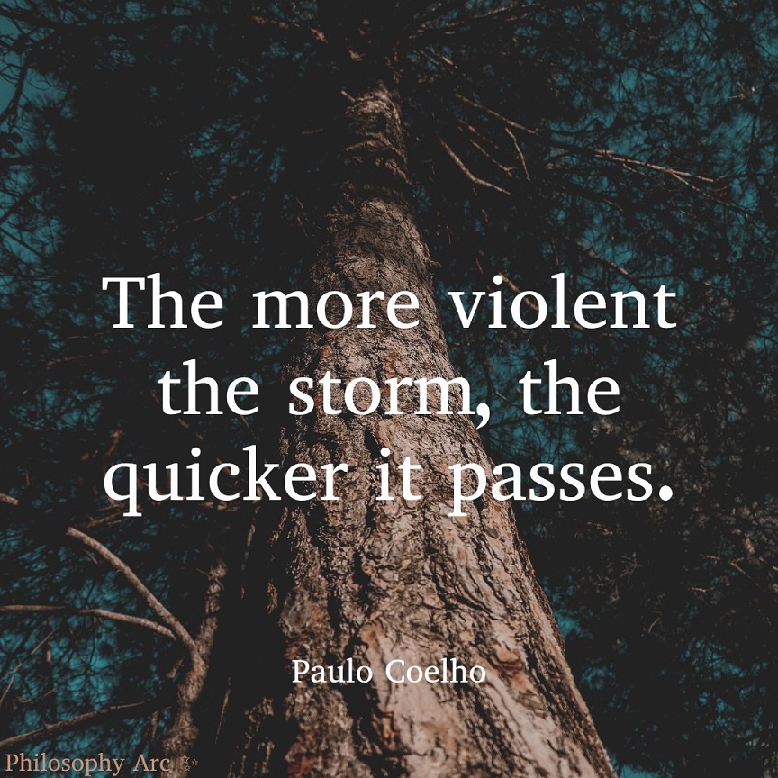 Survive the Storm – Inbarbsworld